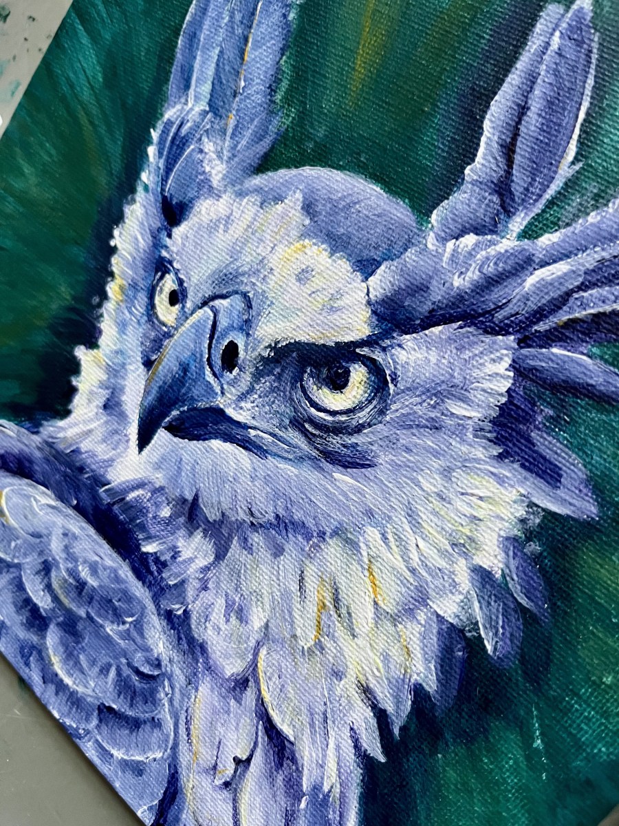 Harpy Eagle painting – Paige Critchley Designs